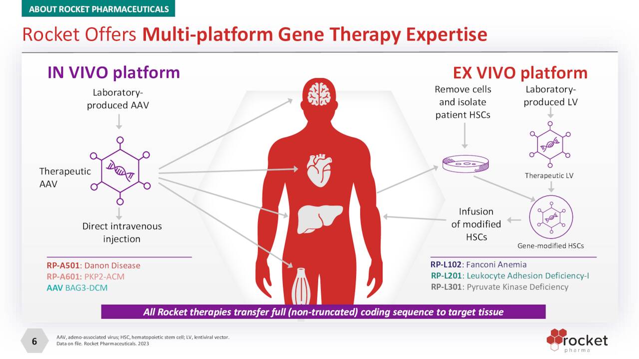 Rocket Pharmaceuticals: A Catalyst-Rich Year Ahead (NASDAQ:RCKT ...