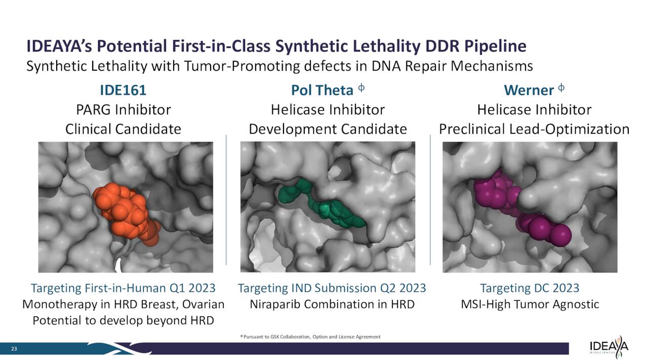 Ideaya Biosciences: Lots Of 'Shots On Goal' And Upcoming Potential ...