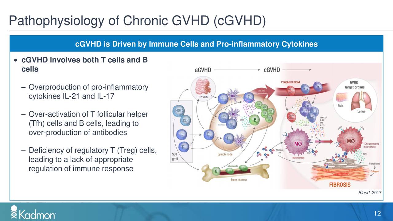 Kadmon Holdings (KDMN) Investor Presentation - Slideshow (NASDAQ:KDMN ...