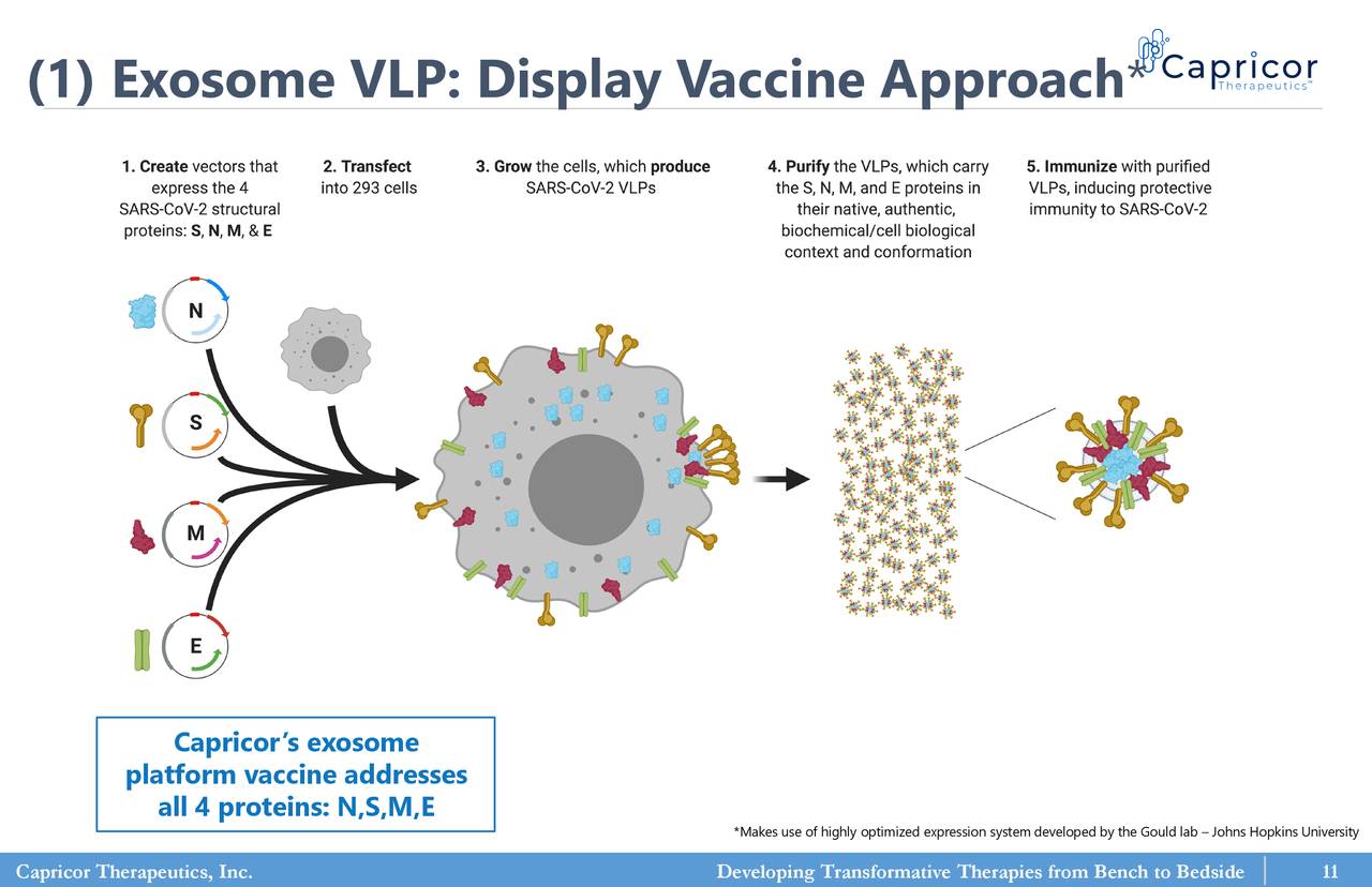 Capricor Therapeutics (CAPR) Investor Presentation - Slideshow (NASDAQ ... Capricor Therapeutics (CAPR) Investor Presentation - Slideshow (NASDAQ ...