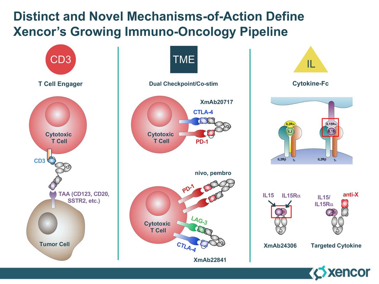 Xencor, Inc. 2020 Q2 - Results - Earnings Call Presentation (NASDAQ ...