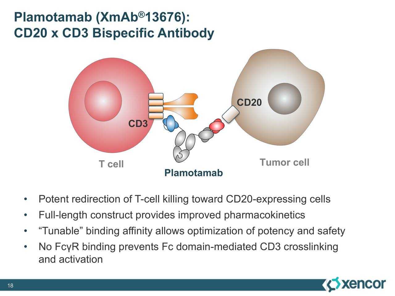 Xencor, Inc. 2020 Q2 - Results - Earnings Call Presentation (NASDAQ ...