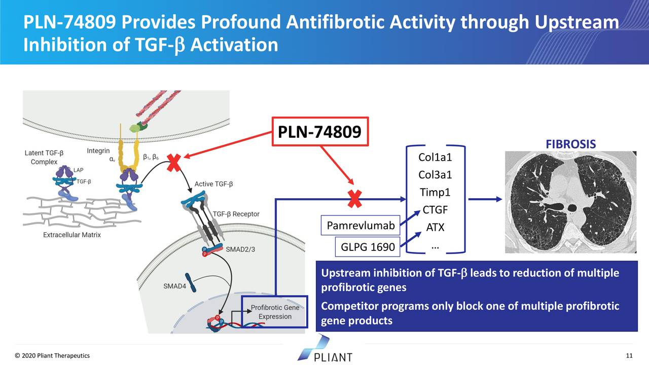 Pliant Therapeutics (PLRX) Investor Presentation - Slideshow (NASDAQ ...