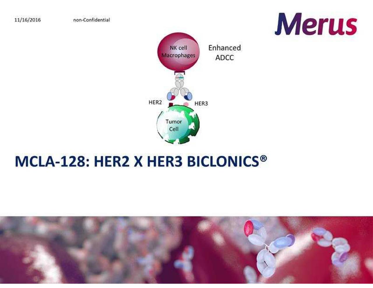Merus (MRUS) Investor Presentation - Slideshow (NASDAQ:MRUS) | Seeking ...