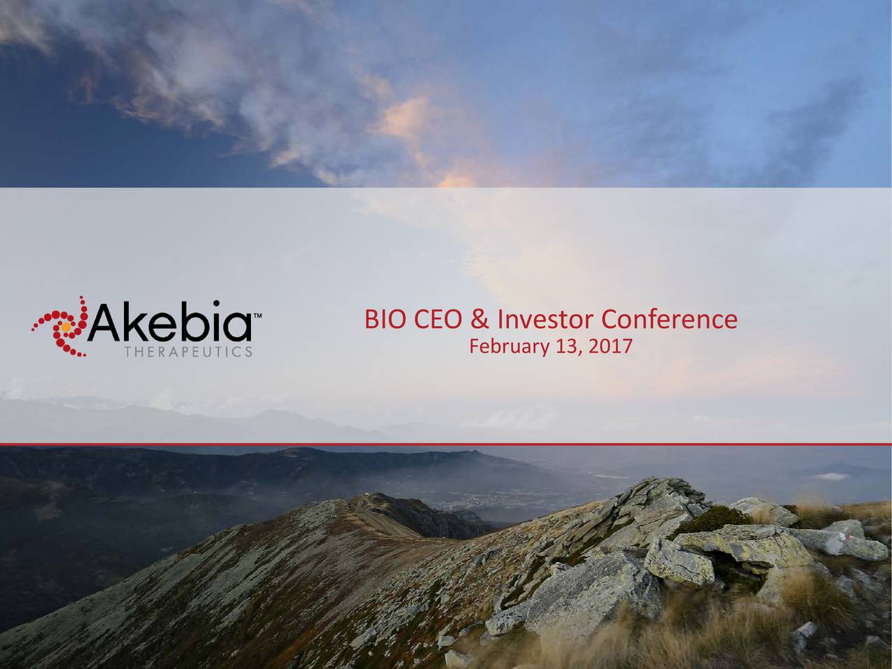 Akebia Therapeutics (AKBA) Presents at 19th Annual BIO CEO & Investor ...