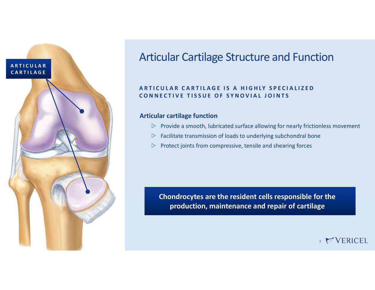 Vericel Corporation (VCEL) Investor Presentation - Slideshow (NASDAQ ...