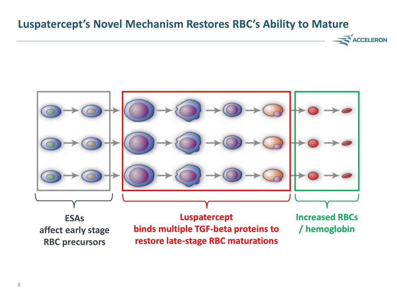 Acceleron Pharma (XLRN) Presents At Jefferies 2017 Global Healthcare ...