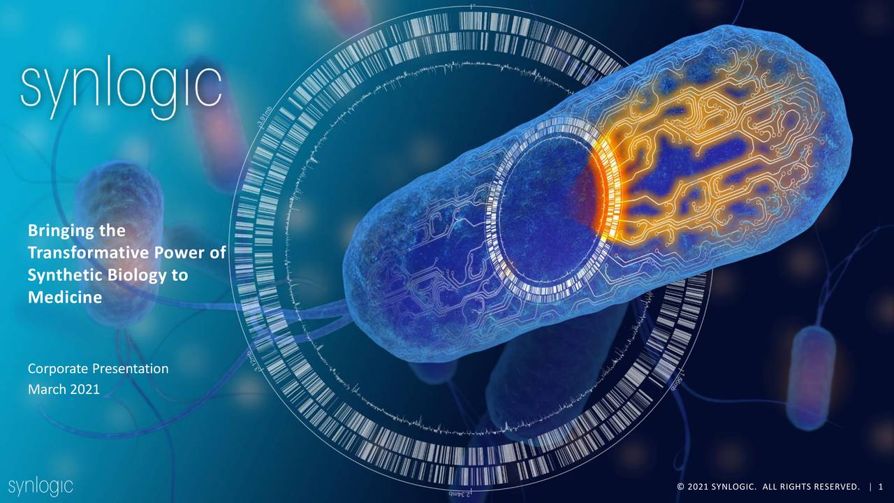 Synlogic, Inc. 2020 Q4 - Results - Earnings Call Presentation (NASDAQ ...