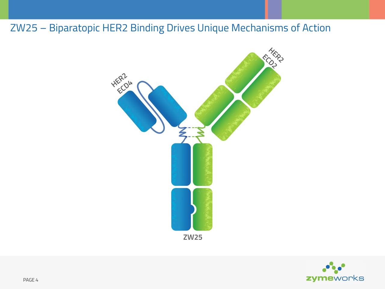 Zymeworks (ZYME) ZW25 ASCO Data Conference Call - Slideshow (NYSE:ZYME ...